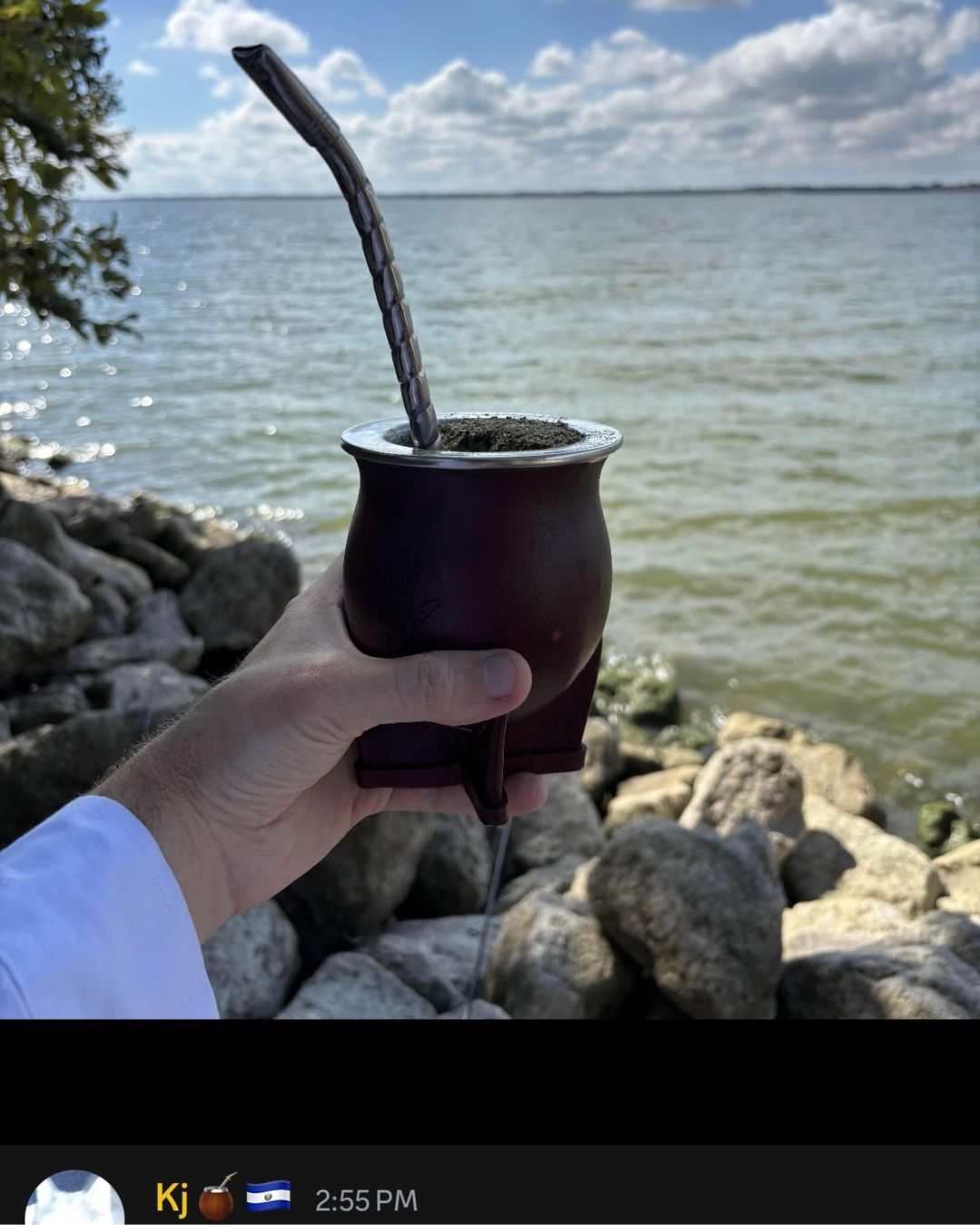 Yerba Mate Lab - Buy Yerba Mate Online, Gourds & Bombillas